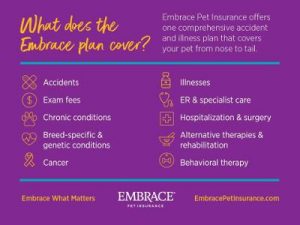 Embrace Pet Insurance: Our Review - Dog Endorsed