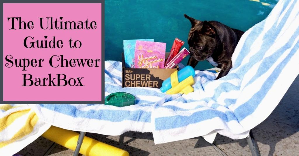 The Ultimate Guide to Super Chewer BarkBox - Dog Endorsed