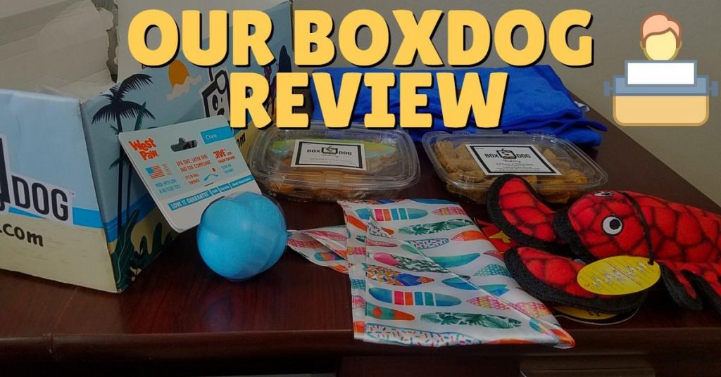 17 Best Dog Subscription Boxes for 2023: My Top Monthly Plans
