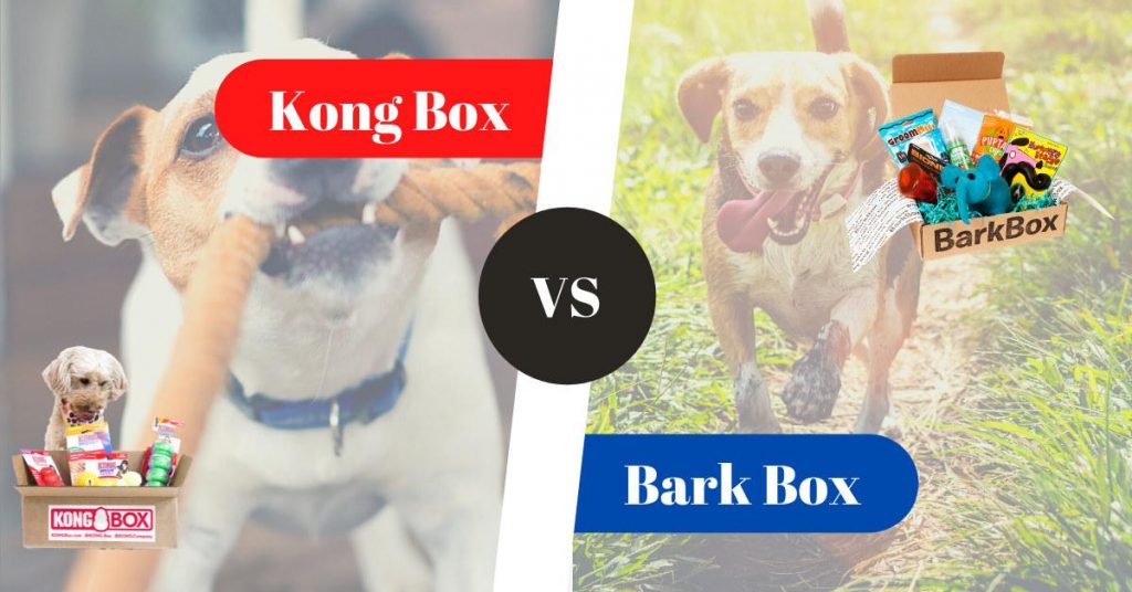 KONG Box vs BarkBox: Which One's Better? - Dog Endorsed
