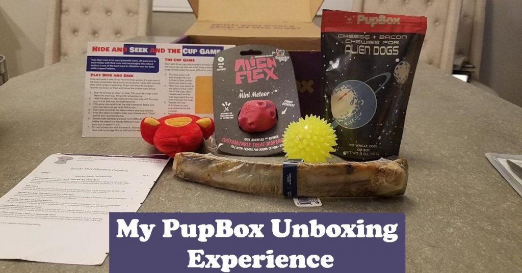 BarkBox Super Chewer vs Bullymake Box: Which Is Better?