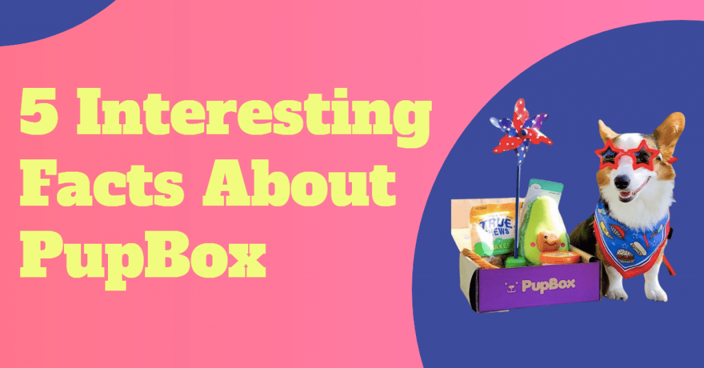 5 Interesting Facts About PupBox: The Puppy Dog Box - Dog Endorsed