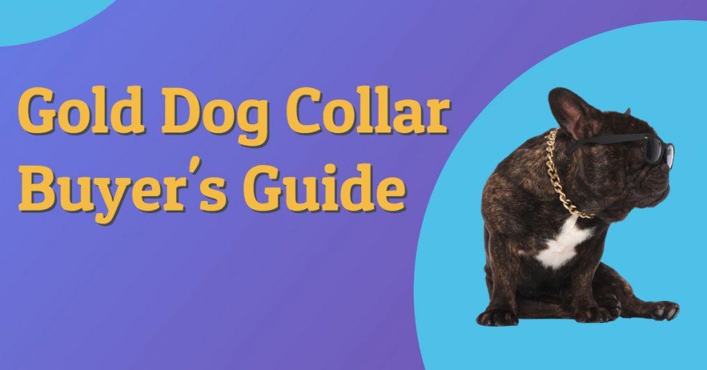 The Gold Dog Collar Buyer's Guide - Dog Endorsed