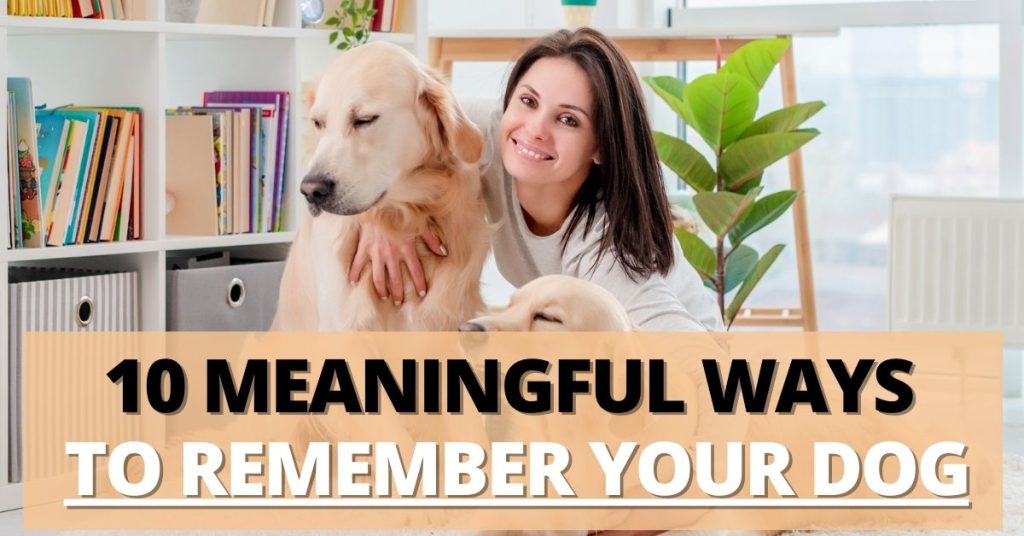 10 Meaningful Ways to Remember Your Dog - Dog Endorsed