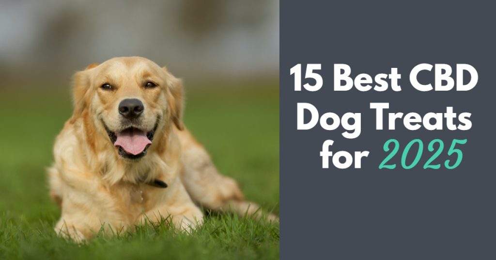 Best 15 CBD Treats for Dog Joint Pain, Anxiety & More