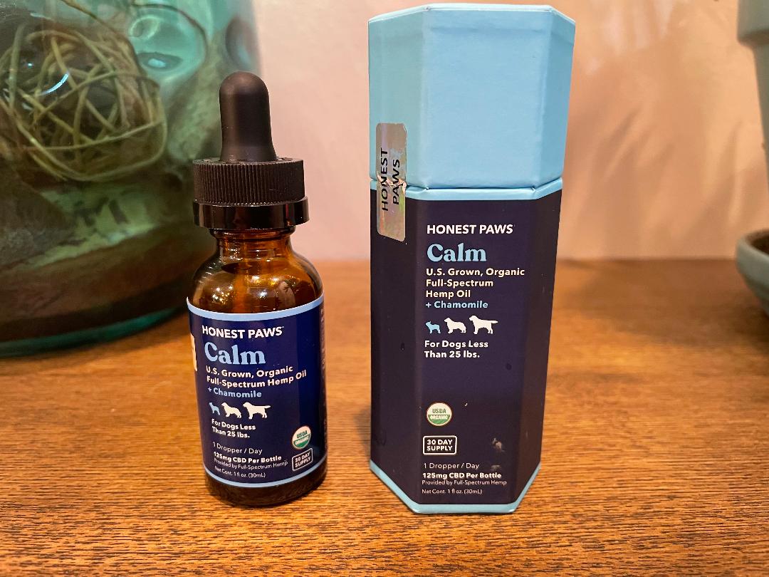 15 Best CBD Oil for Dogs & Buyer's Guide (2025)