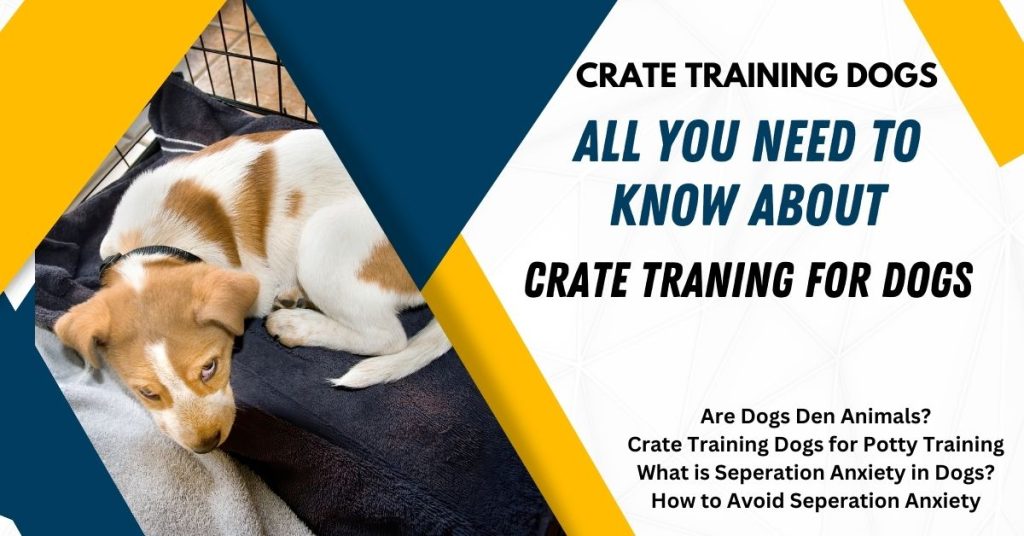 Easy Crate Training Steps Explained - Dog Endorsed